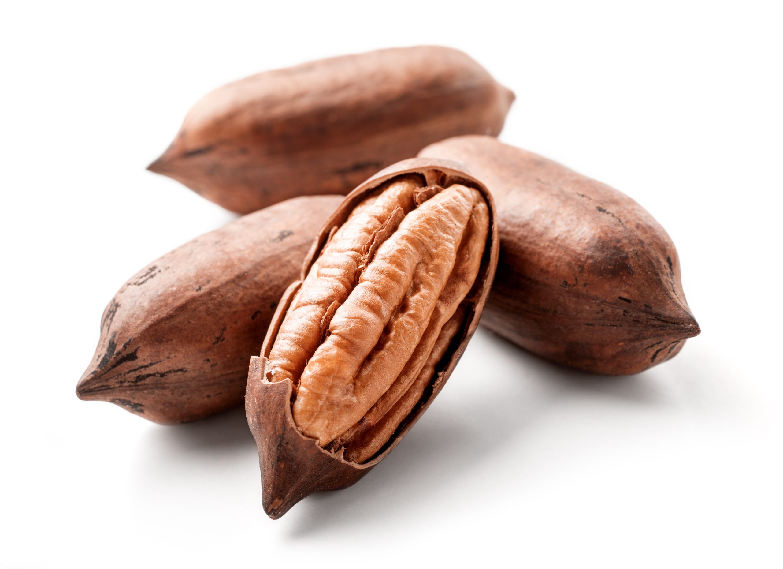 PECANS In Shell SNMB PECANS In Shell SNMB